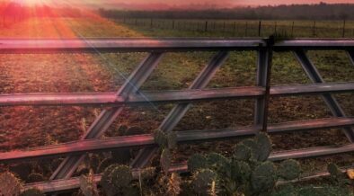 Postcards October 2023- ETX | Postcards Magazine