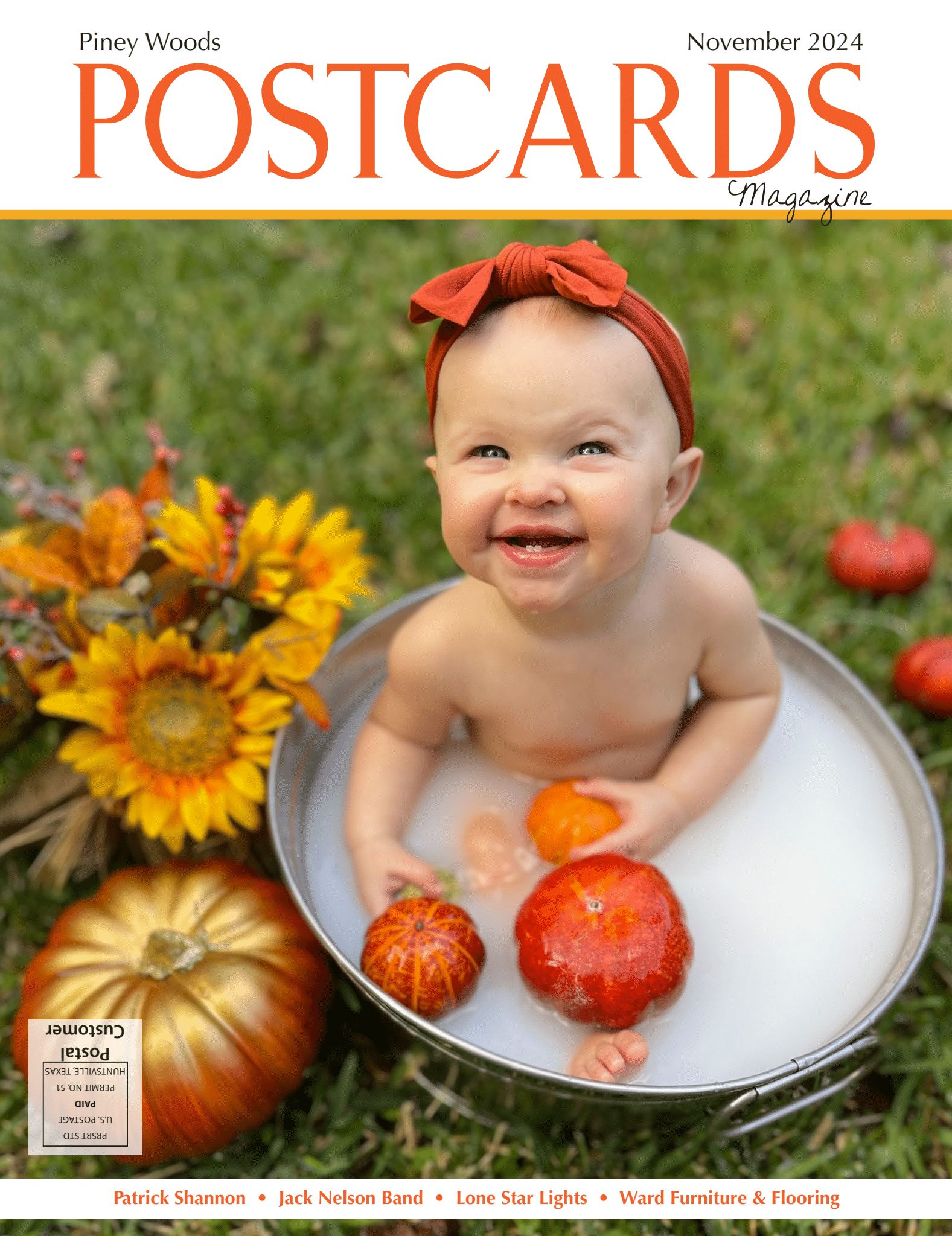 Postcards November 2024-Piney Woods | Postcards Magazine