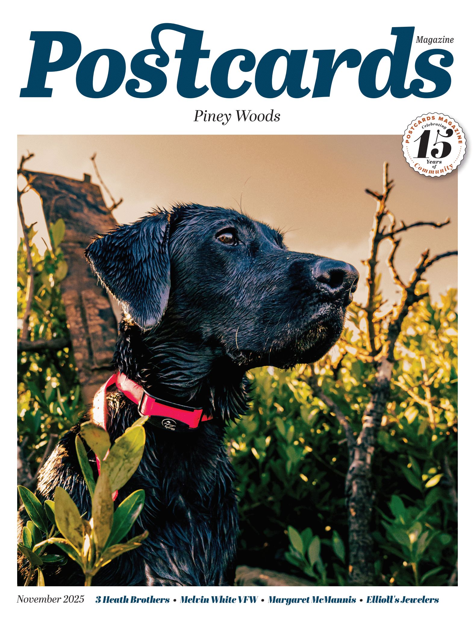 Postcards November 2025- Piney Woods | Postcards Magazine