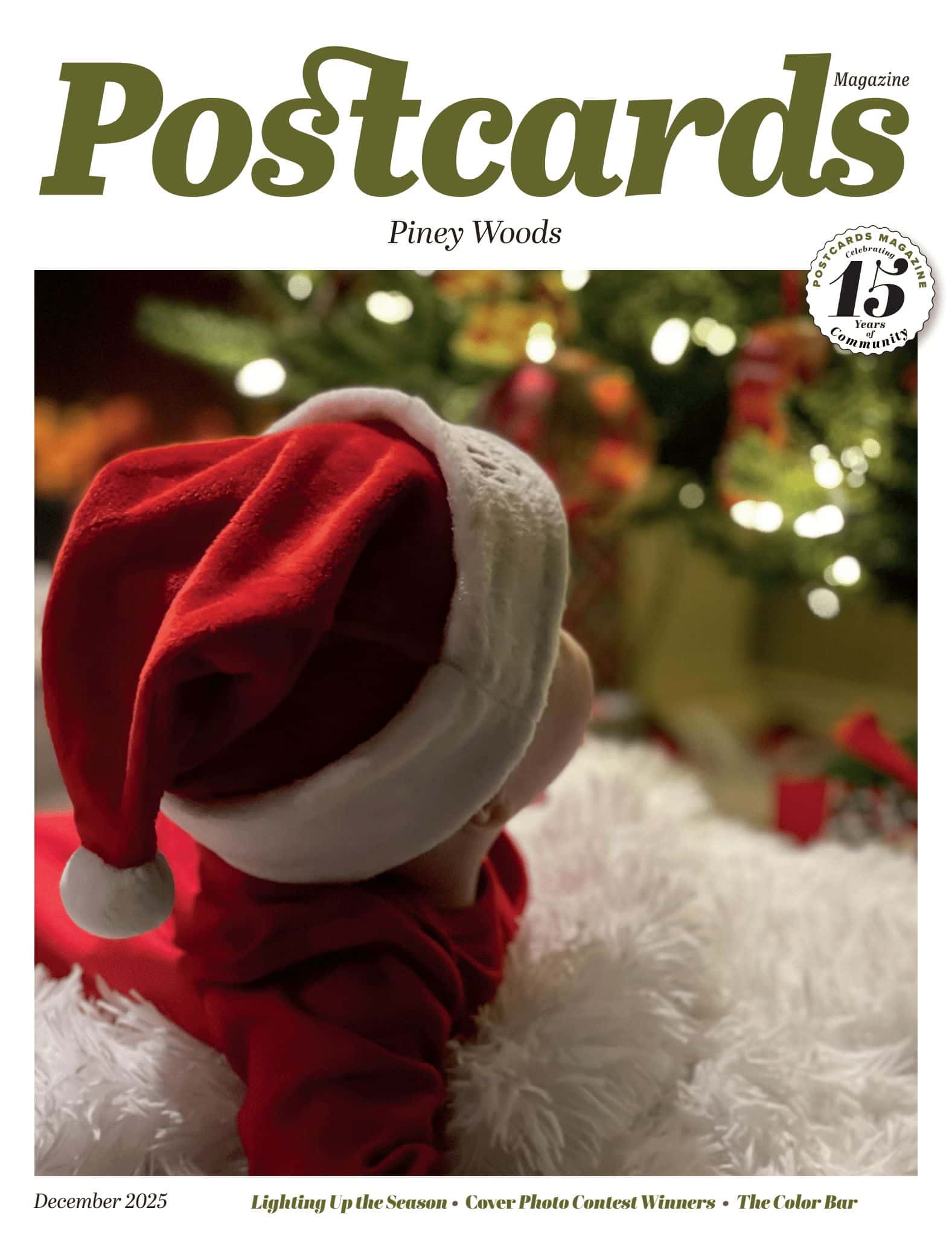 Postcards December 2025- Piney Woods | Postcards Magazine